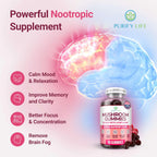natural lion's mane supplement for brain health
