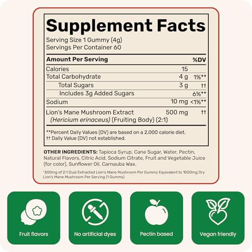 natural lion's mane supplement for focus