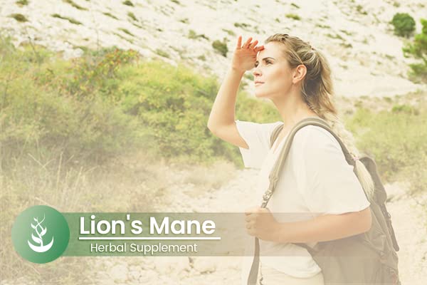 natural lion's mane supplement for focus