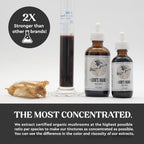 natural lion's mane supplement for focus