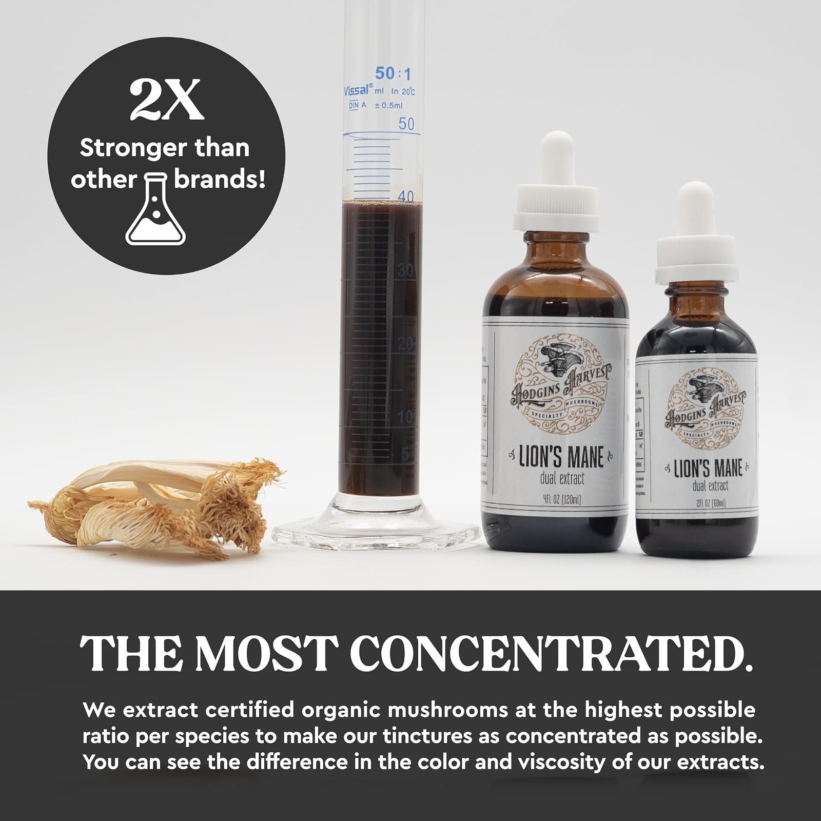 natural lion's mane supplement for focus