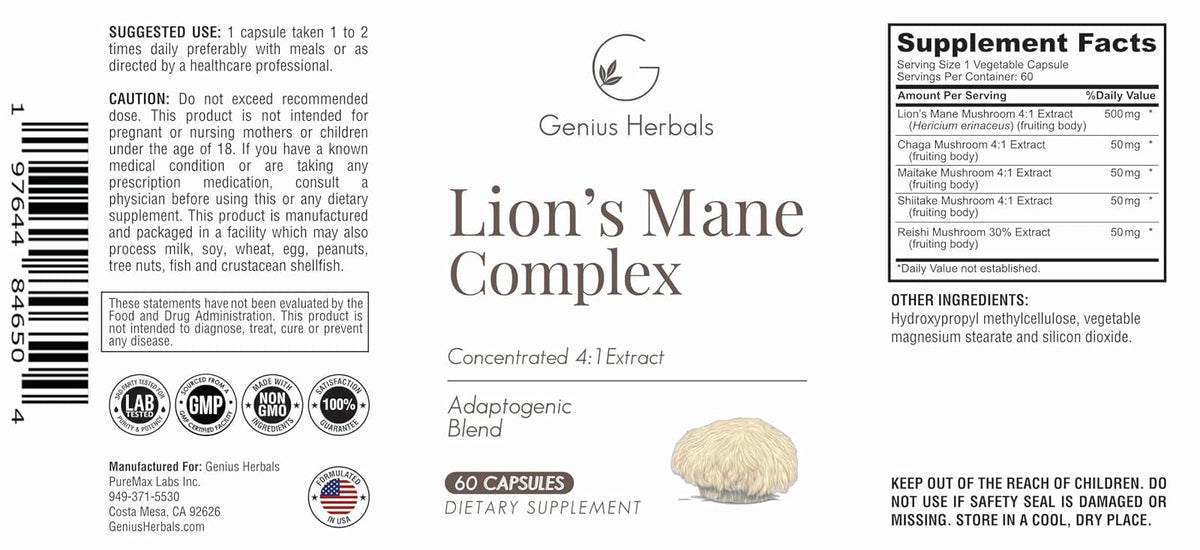 natural lion's mane supplement for focus
