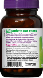 natural lion's mane supplement for focus