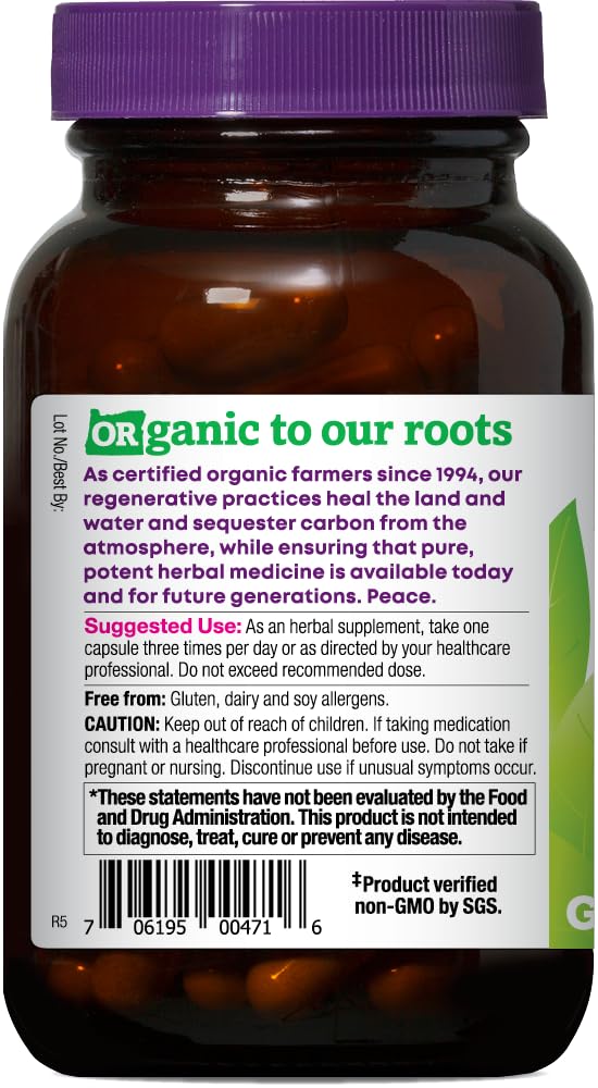 natural lion's mane supplement for focus