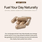 natural lion's mane supplement for focus