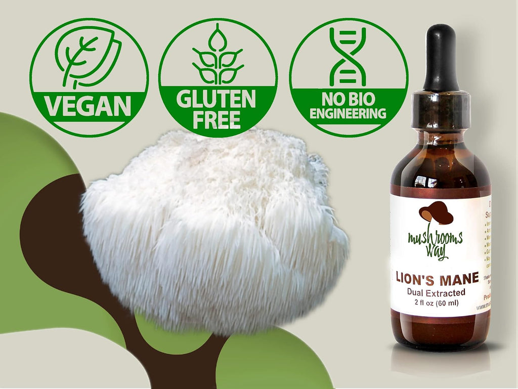 natural lion's mane supplement for focus