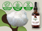 natural lion's mane supplement for focus