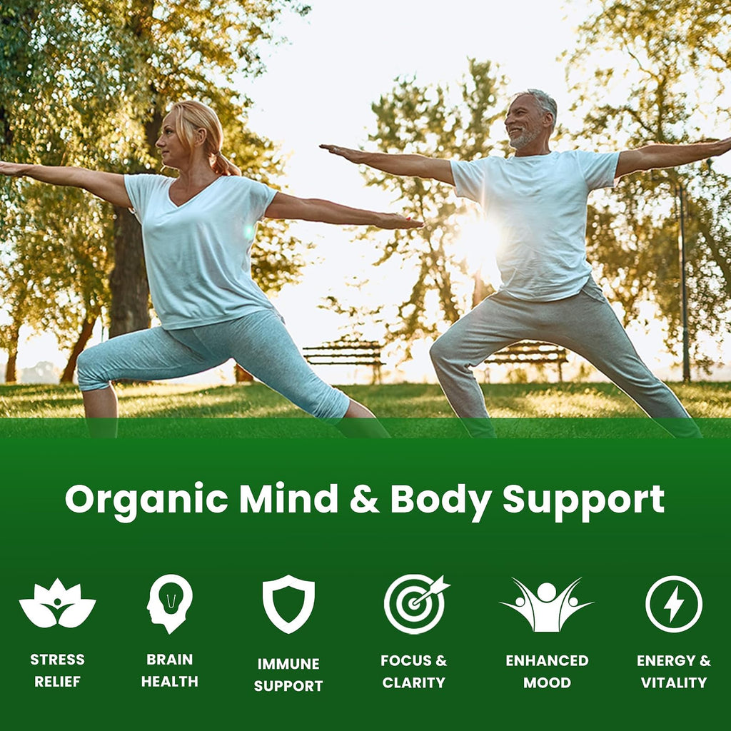 natural lion's mane supplement for memory