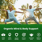 natural lion's mane supplement for memory