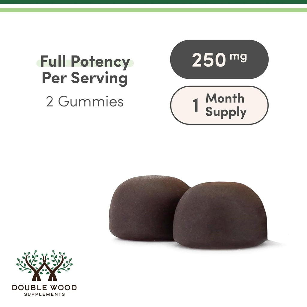 natural lion's mane supplement for wellness