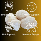 natural lion's mane supplement