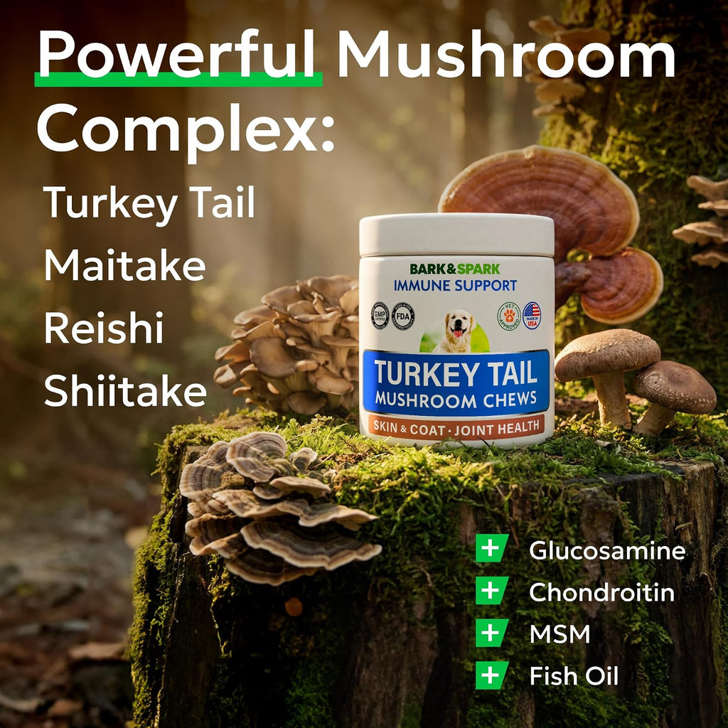 Natural lipoma support for pets