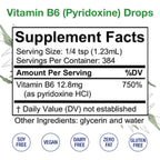 Natural liquid B6 supplement benefits