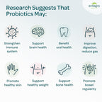 natural liquid probiotic supplement