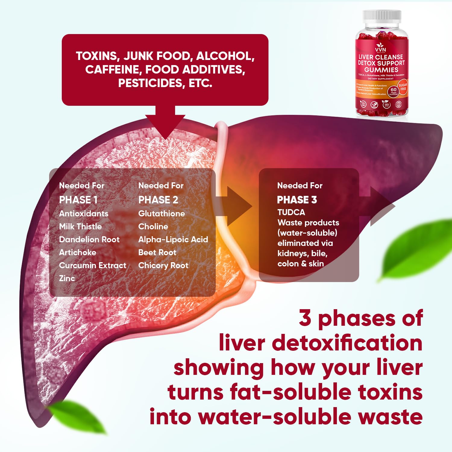 natural liver cleanse support