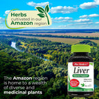 natural liver detox supplement