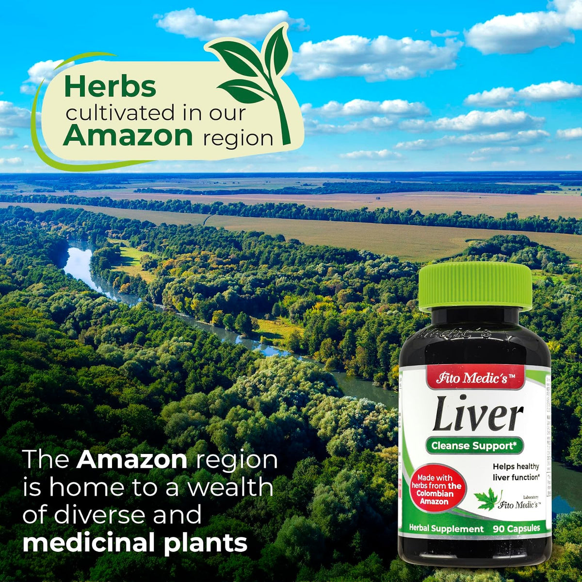 natural liver detox supplement