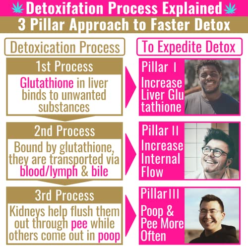 natural liver detox with milk thistle