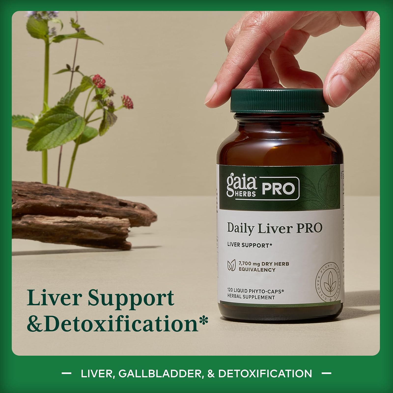 natural liver health capsules GAIA HERBS
