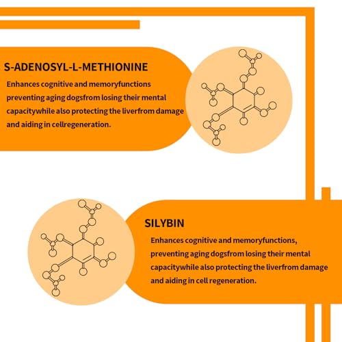 Natural liver support for dogs