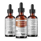 natural liver support milk thistle extract