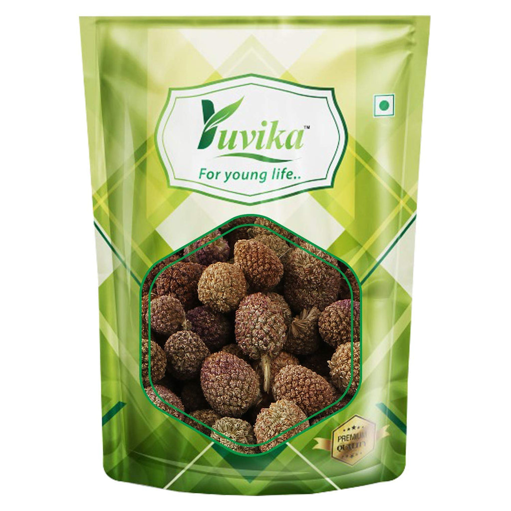 natural liver support milk thistle