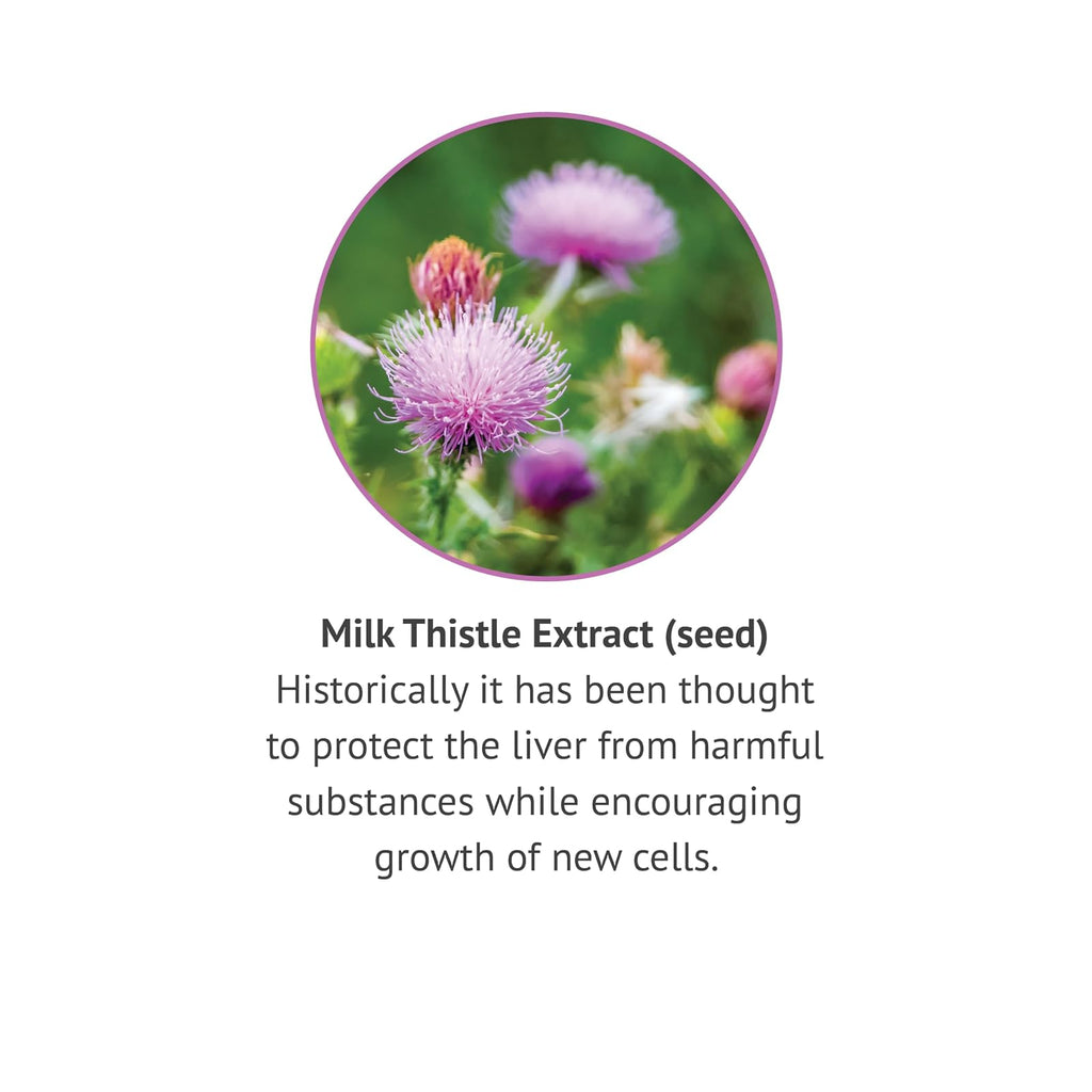 natural liver support milk thistle