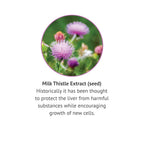 natural liver support milk thistle