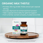 Natural liver support supplement