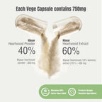 natural liver support with Bijasar