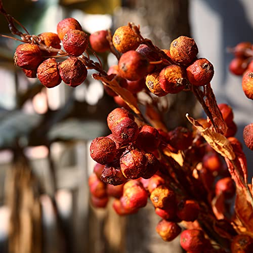 natural looking hawthorn fruit decor