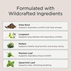 natural lung health supplement