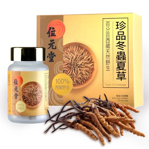 natural lung support cordyceps capsules