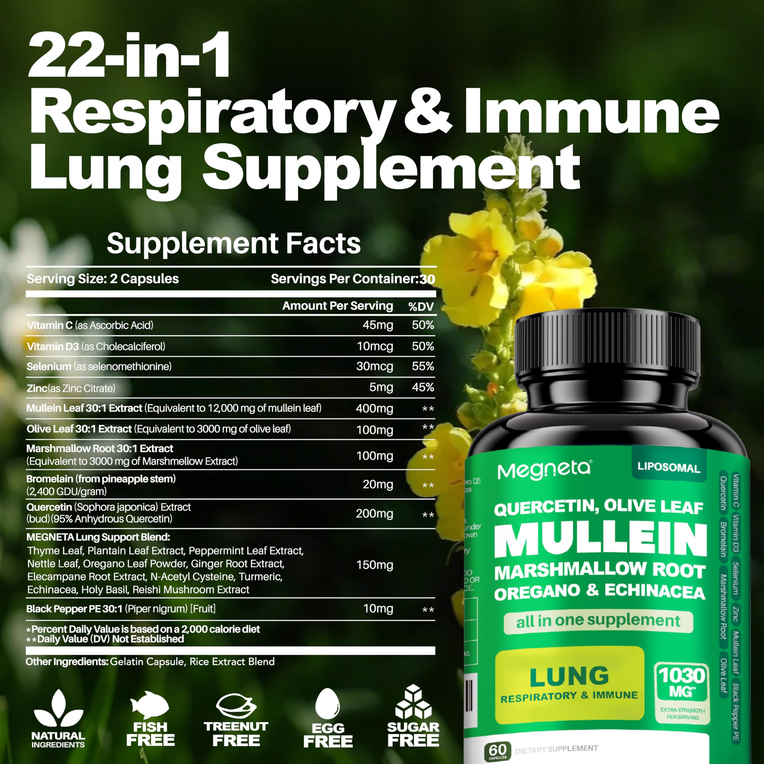 natural lung support with mullein leaf