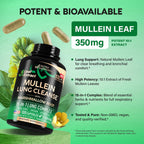 Natural lung support with Mullein