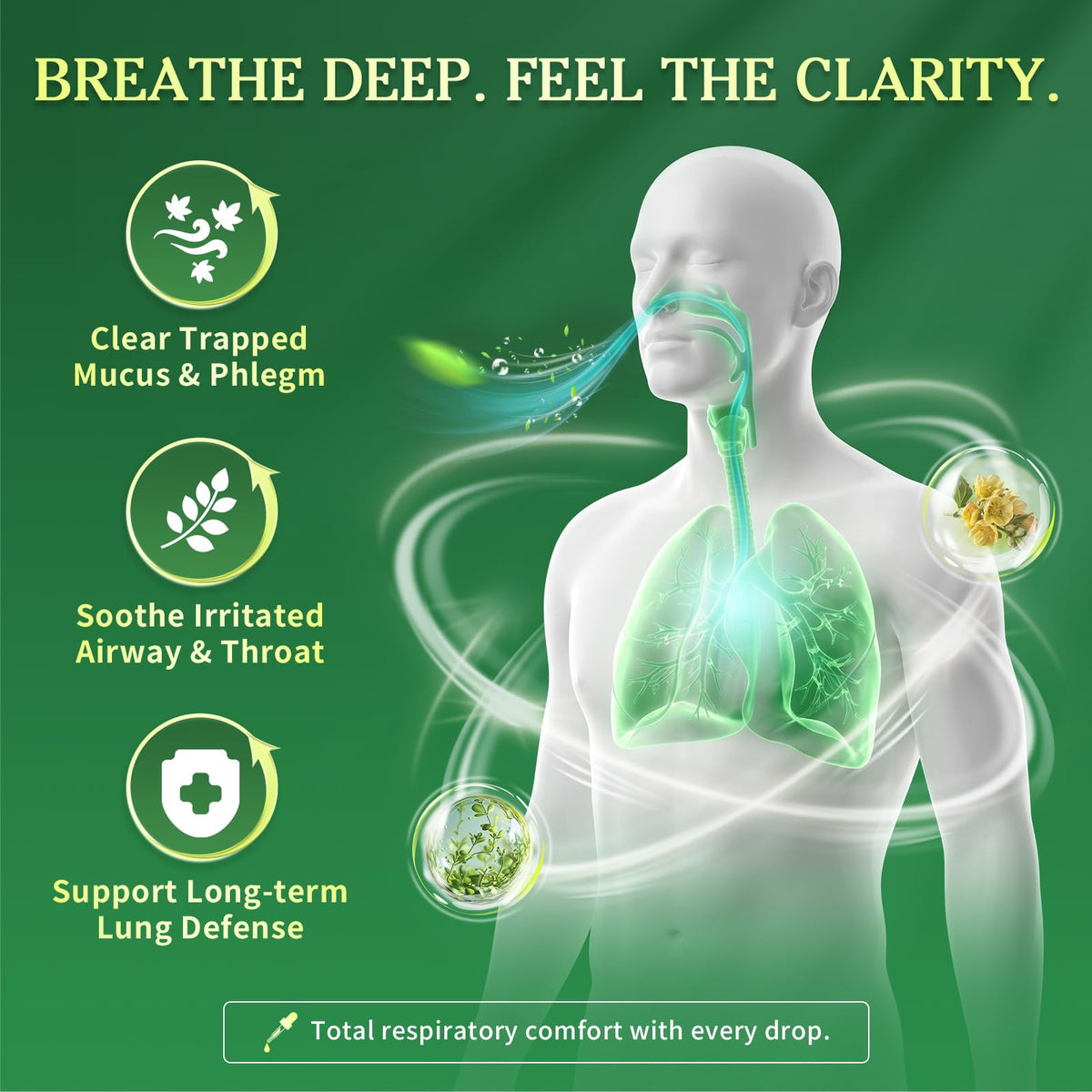 natural lung support with mullein