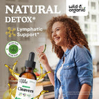 natural lymphatic drainage support
