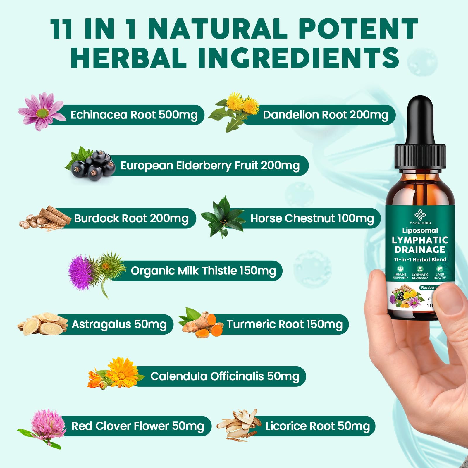Natural lymphatic support drops