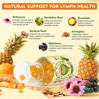 natural lymphatic support gummies