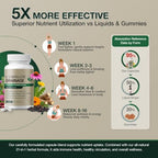 natural lymphatic support with echinacea