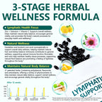 natural lymphatic support with echinacea