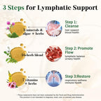 Natural lymphatic support with Migcopat
