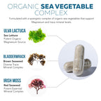 natural magnesium bisglycinate supplement