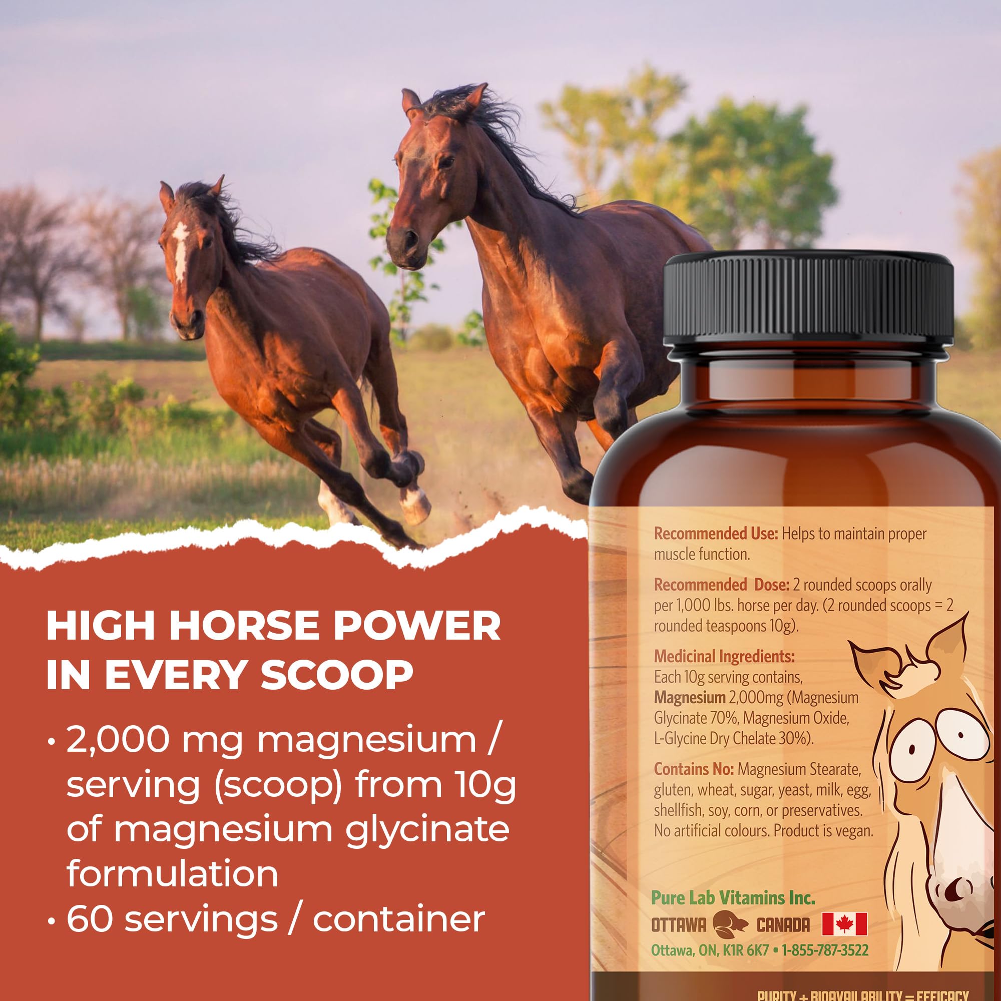 natural magnesium for horse health