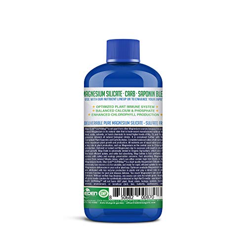 natural magnesium source for wellness