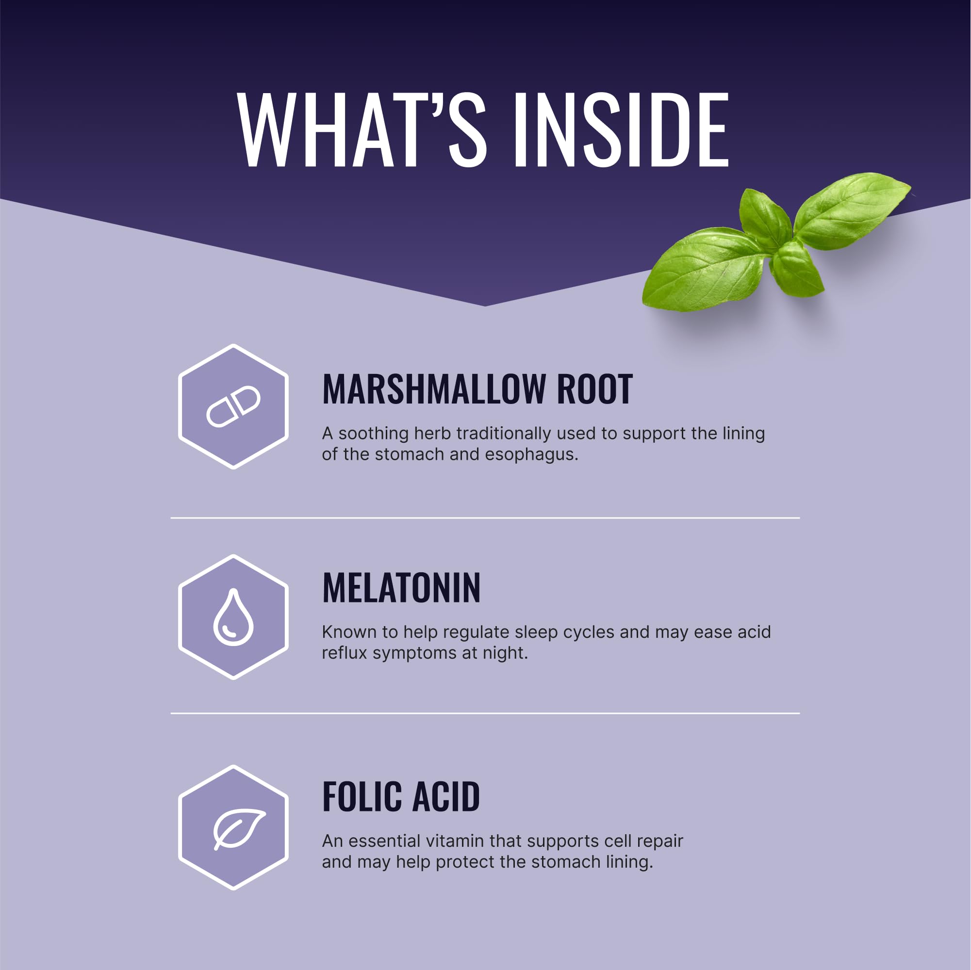 Natural marshmallow root for digestive health