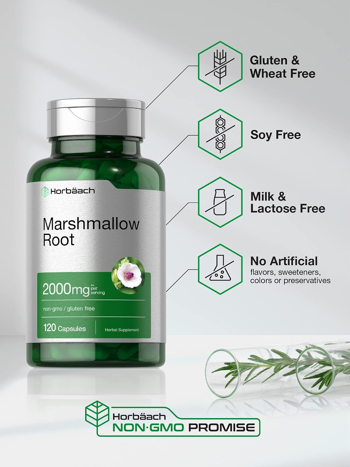 Natural marshmallow root for skin support