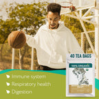 natural marshmallow root herbal infusion