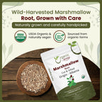 natural marshmallow root infusion