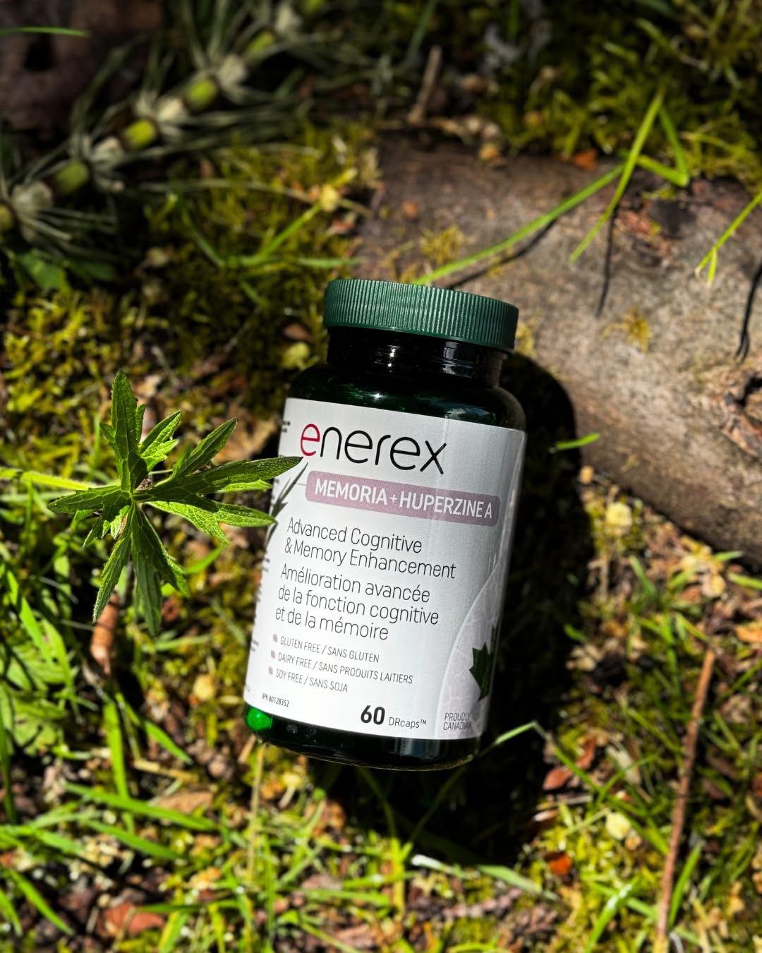 natural memory booster blended supplements